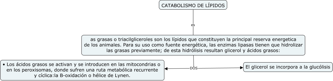 CATABOLISMO LÍPIDOS LIBRO